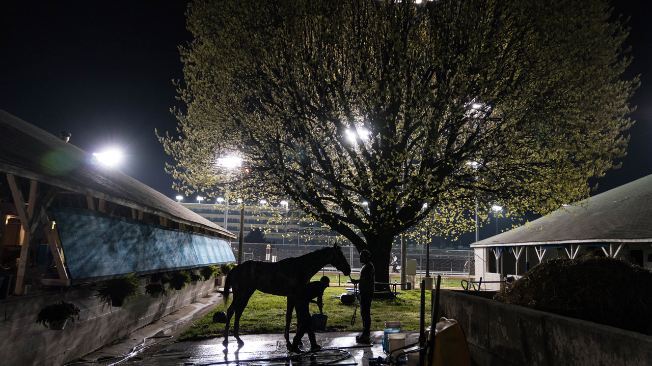 Horsepower in the Bluegrass: The Economic Impact of Horse Racing | News ...
