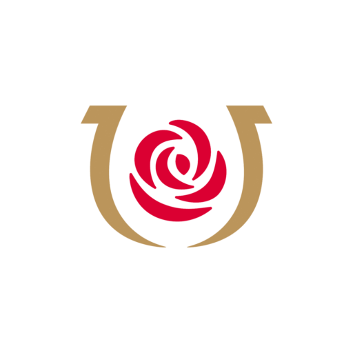 Feeling the Derby Power: Kentucky Derby Power Rankings 2025 [Nov. 3 ...