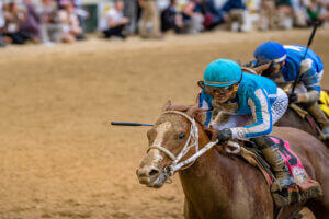 Chunk of Gold | Horses | Kentucky Derby Horse Information