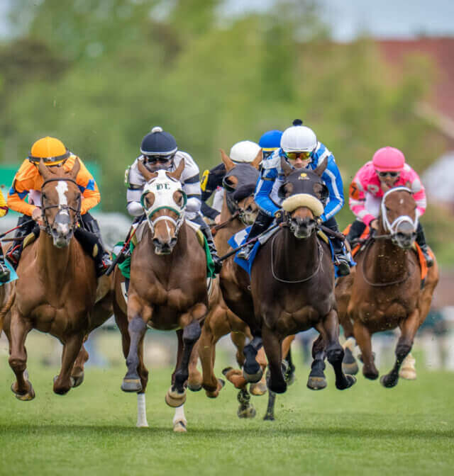 Home page | Kentucky Derby