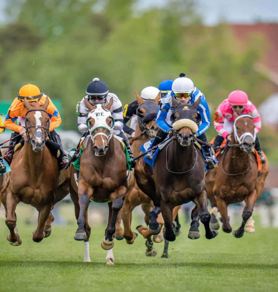 Home page | Kentucky Derby