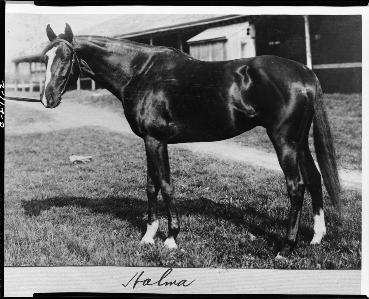 About | Kentucky Derby