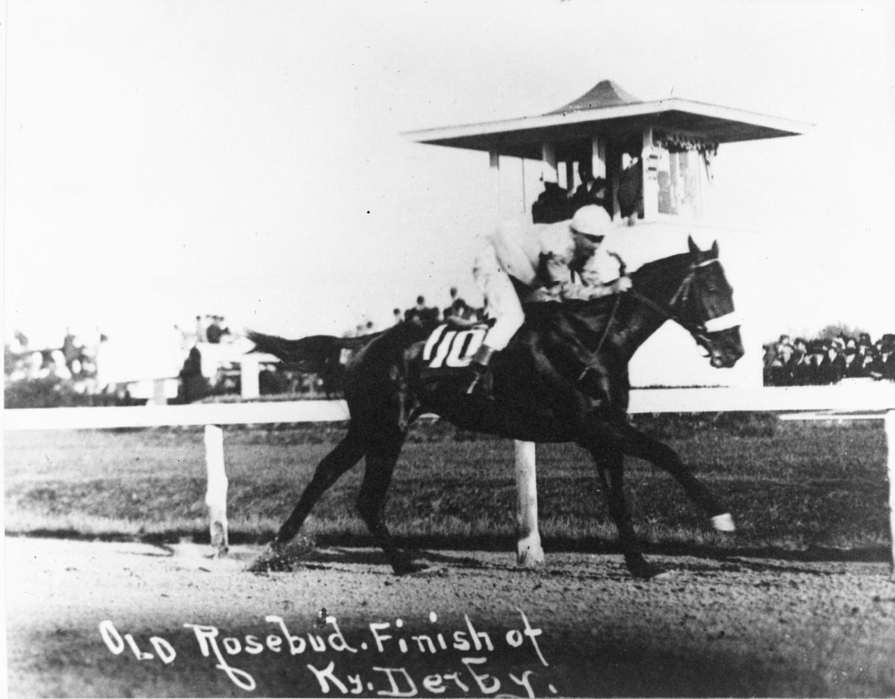 History Of The Kentucky Derby at Sean Grahame blog