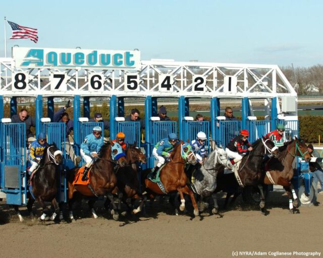 Mo Quality looking to boost Midwest form in Withers | News | Kentucky Derby