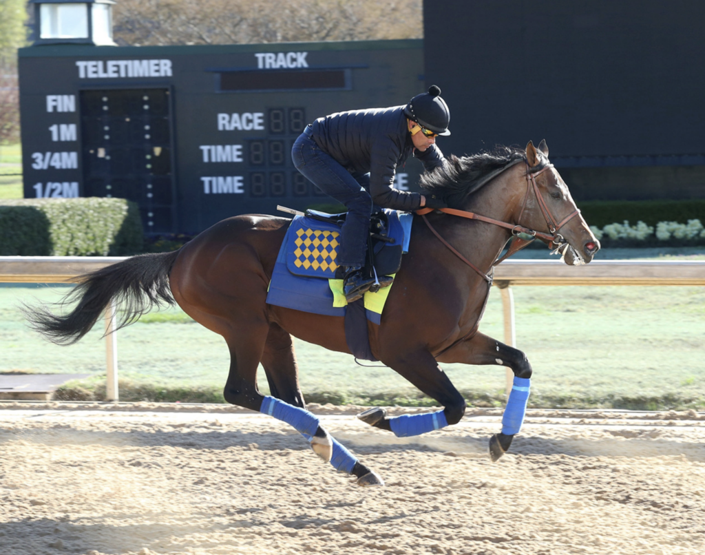 Must Know Facts for the Derby 145 Contenders | News | Kentucky Derby