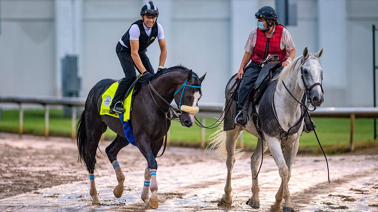 2020 Kentucky Derby Study Guide | News | Kentucky Derby