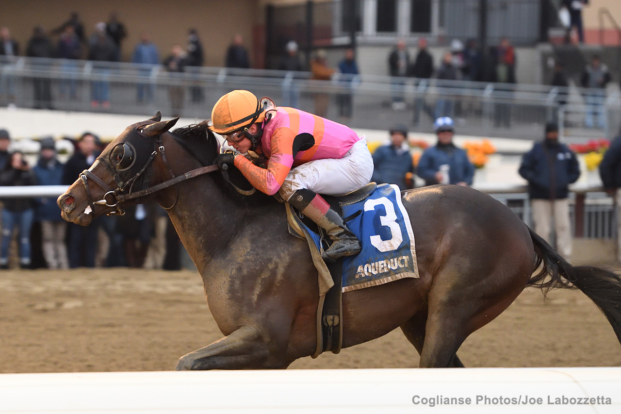 2020 Kentucky Derby Study Guide | News | Kentucky Derby