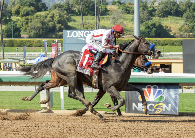 Must Know Facts for the Derby 145 Contenders | News | Kentucky Derby