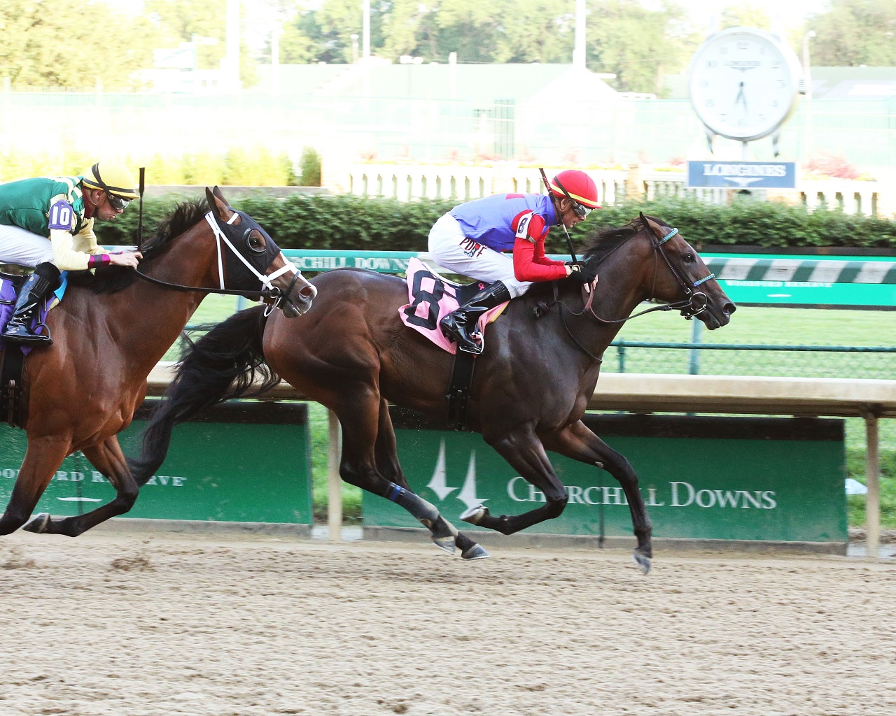 Dogwood Stakes Study Guide | News | Kentucky Derby