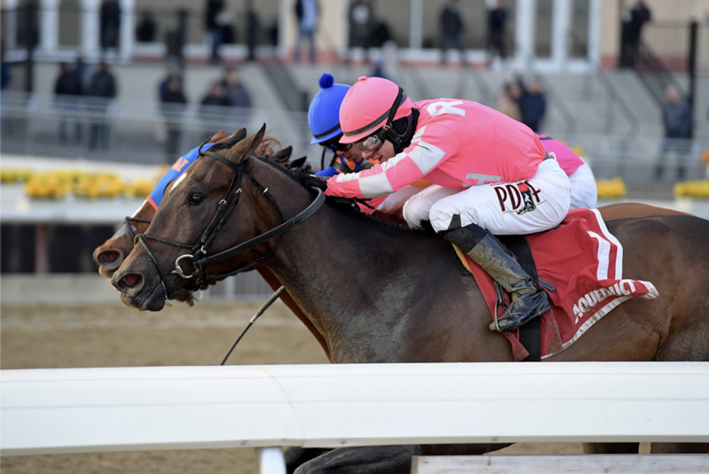 Must Know Facts for the Derby 145 Contenders | News | Kentucky Derby