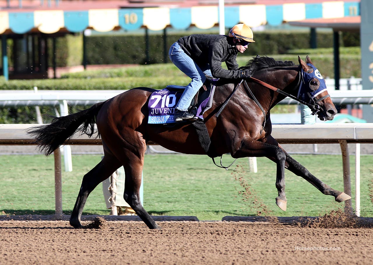 2020 Kentucky Derby Study Guide | News | Kentucky Derby