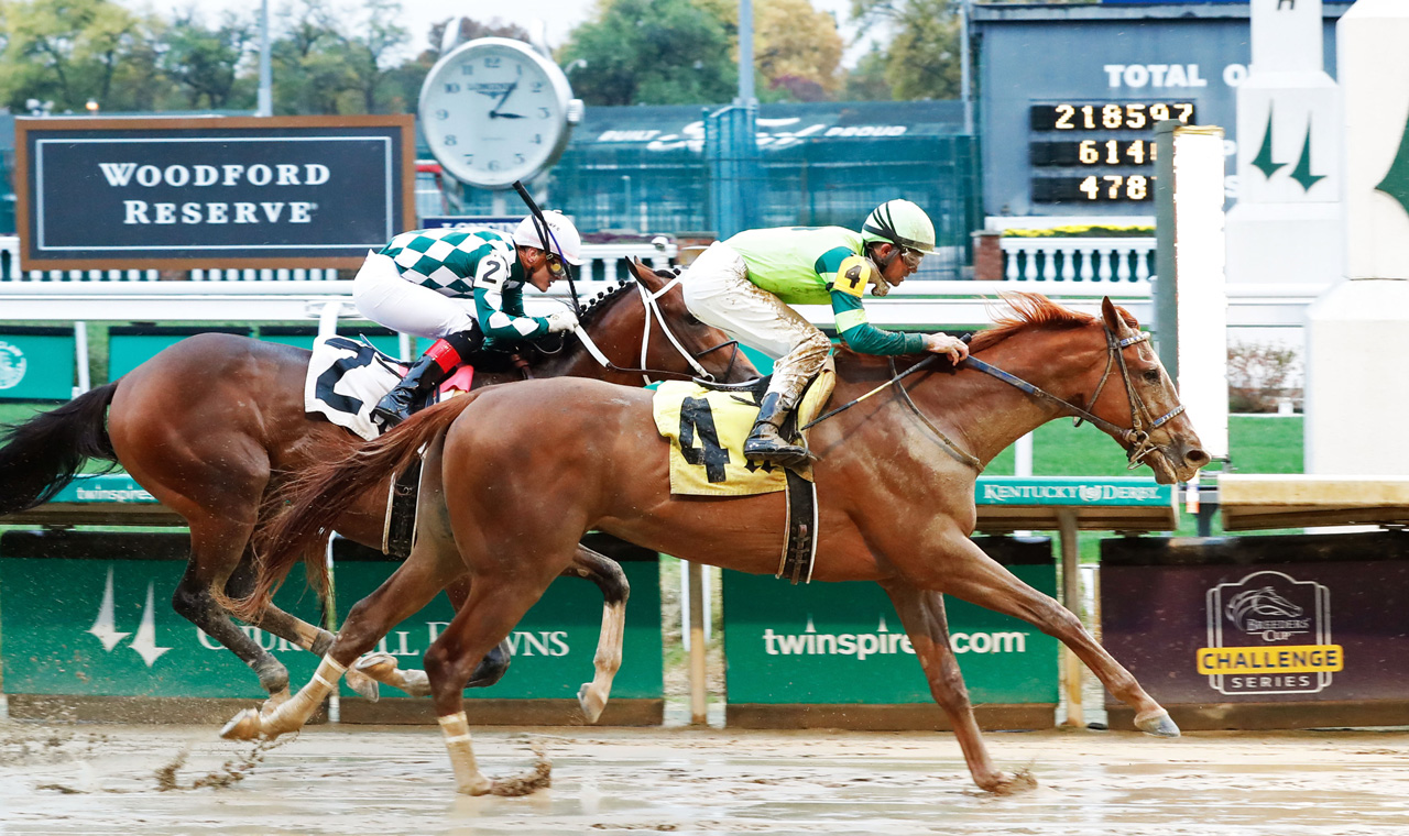 Study Guide: 2024 Risen Star Stakes | News | Kentucky Derby