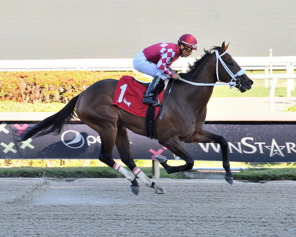 Study Guide: 2024 Holy Bull Stakes | News | Kentucky Derby