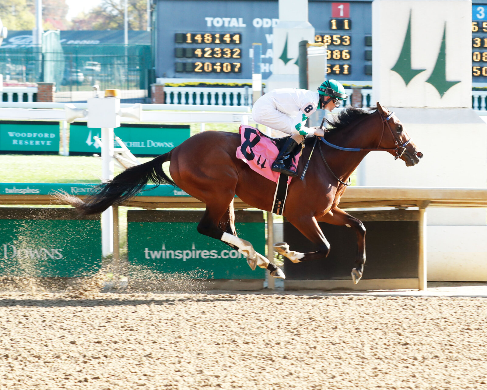 Mystik Dan | Horses | Kentucky Derby
