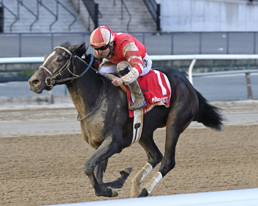 Shimmering Allure brings best resume into Busanda | News | Kentucky Derby