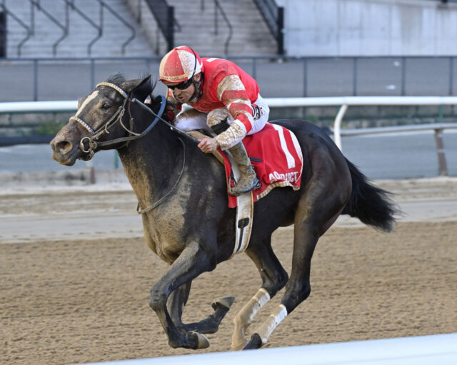 Shimmering Allure brings best resume into Busanda | News | Kentucky Derby