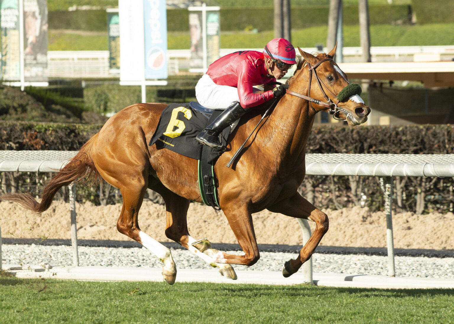 Study Guide: 2024 Santa Anita Derby | News | Kentucky Derby