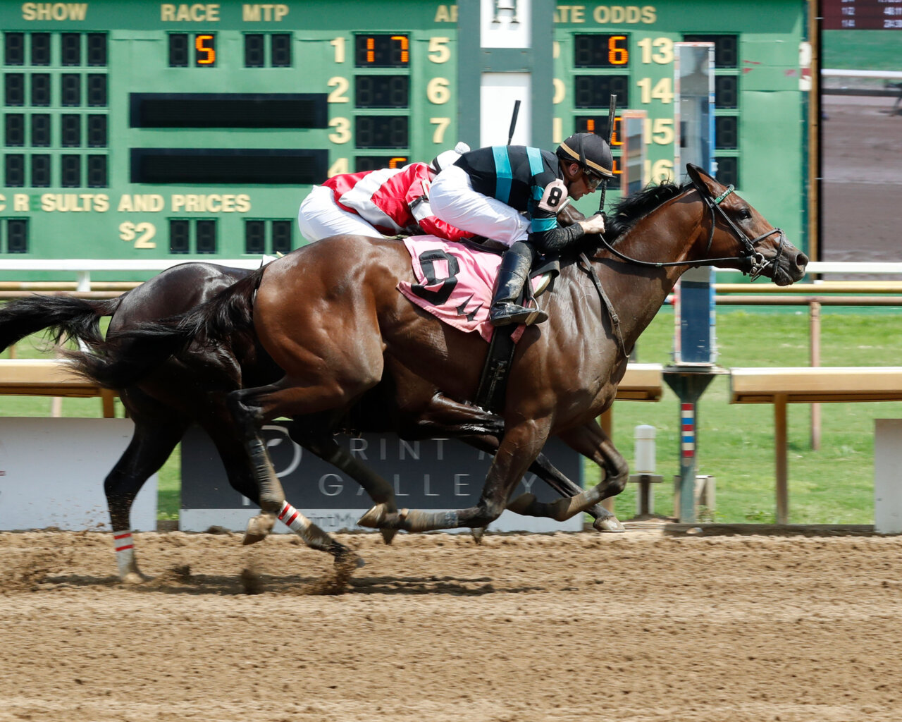 Study Guide: 2024 John Battaglia Memorial Stakes | News | Kentucky Derby