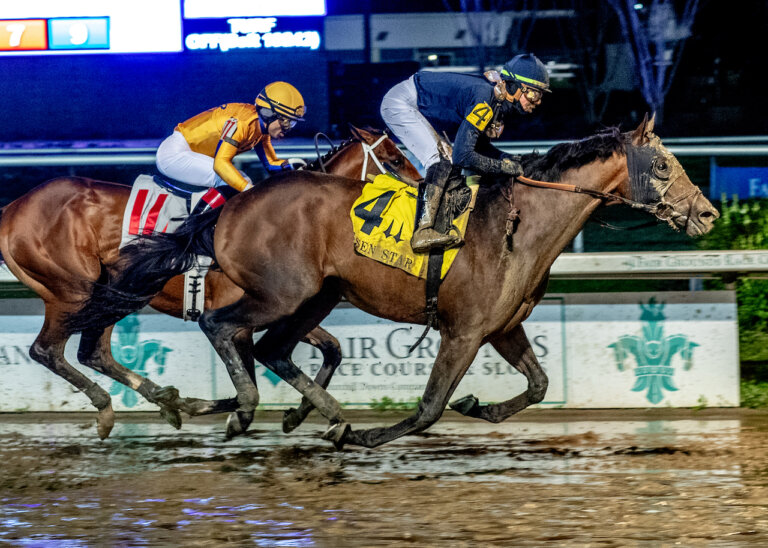 Study Guide: 2024 Kentucky Derby | News | Kentucky Derby