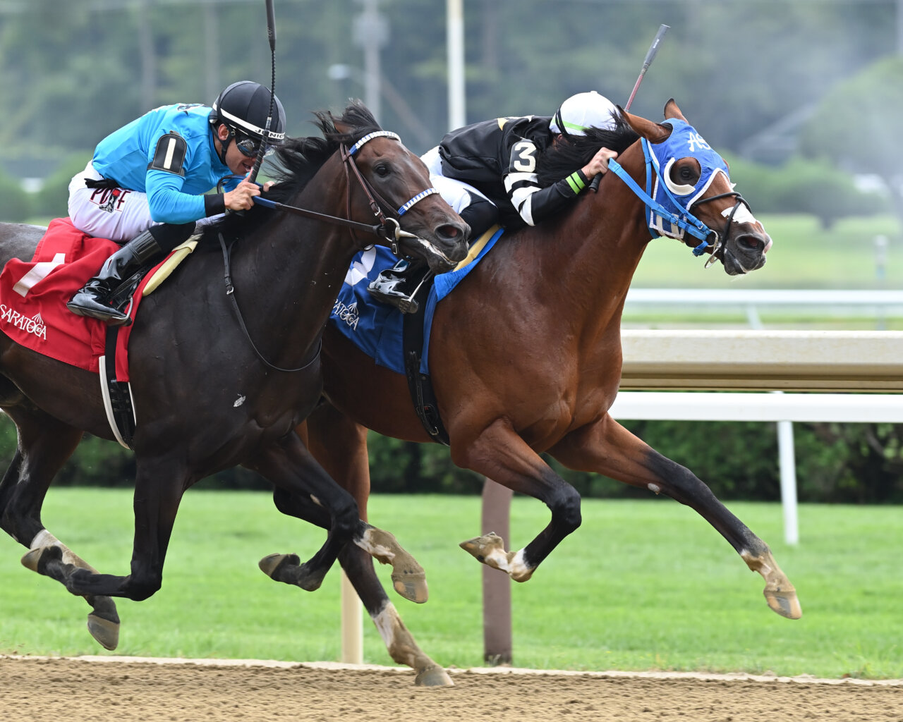 Le Dom Bro | Horses | Kentucky Derby