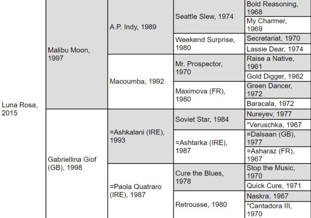 10 Pedigree fun facts: Locked | News | Kentucky Derby