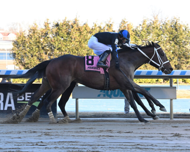 Uncle Heavy battles to Withers victory | News | Kentucky Derby
