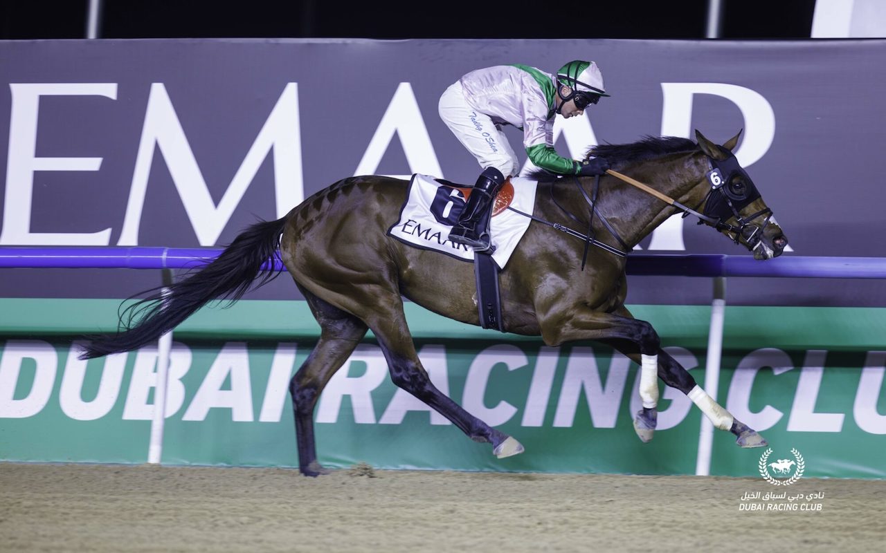 Study Guide: 2024 UAE Derby | News | Kentucky Derby
