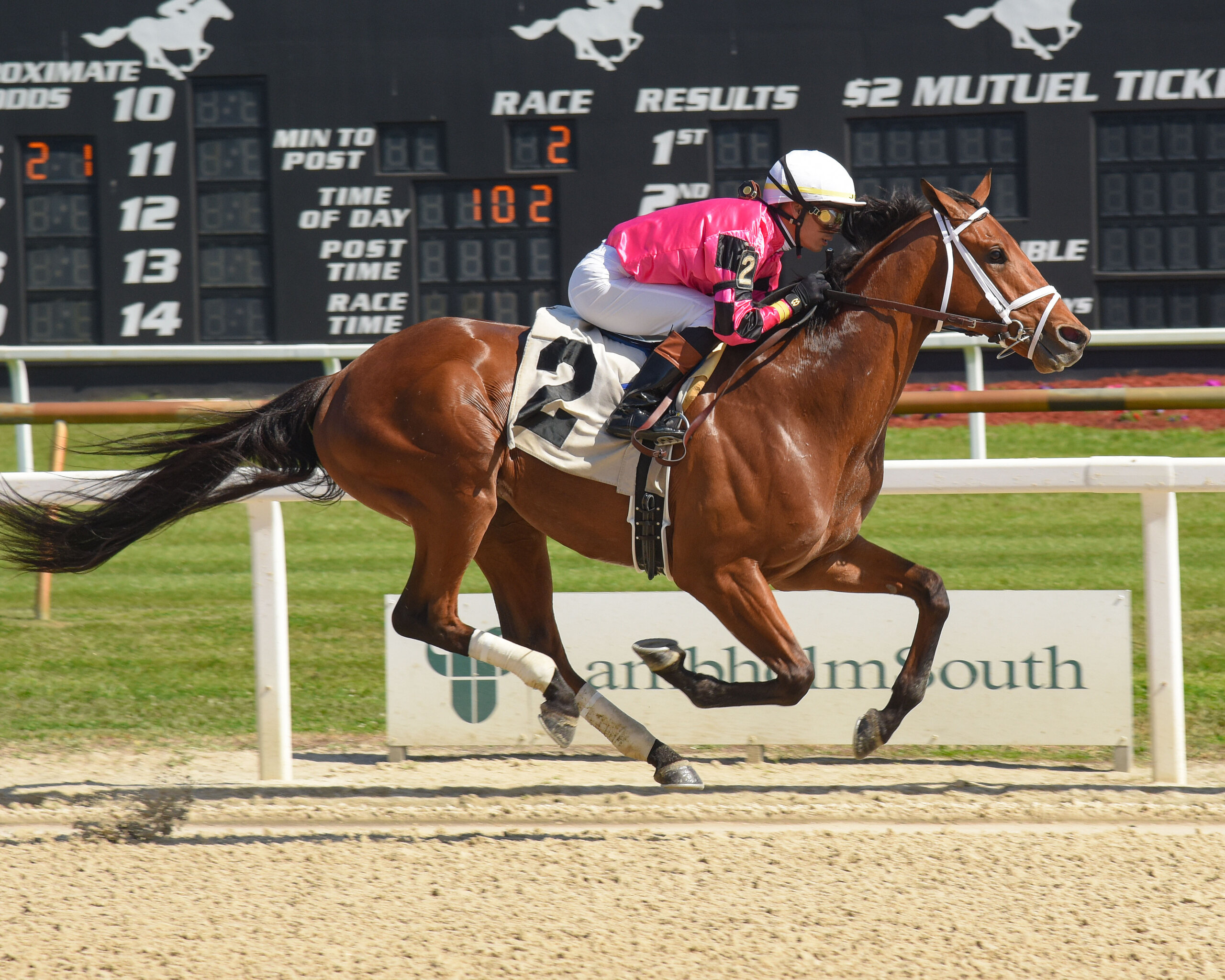 Heartened | Horses | Kentucky Derby