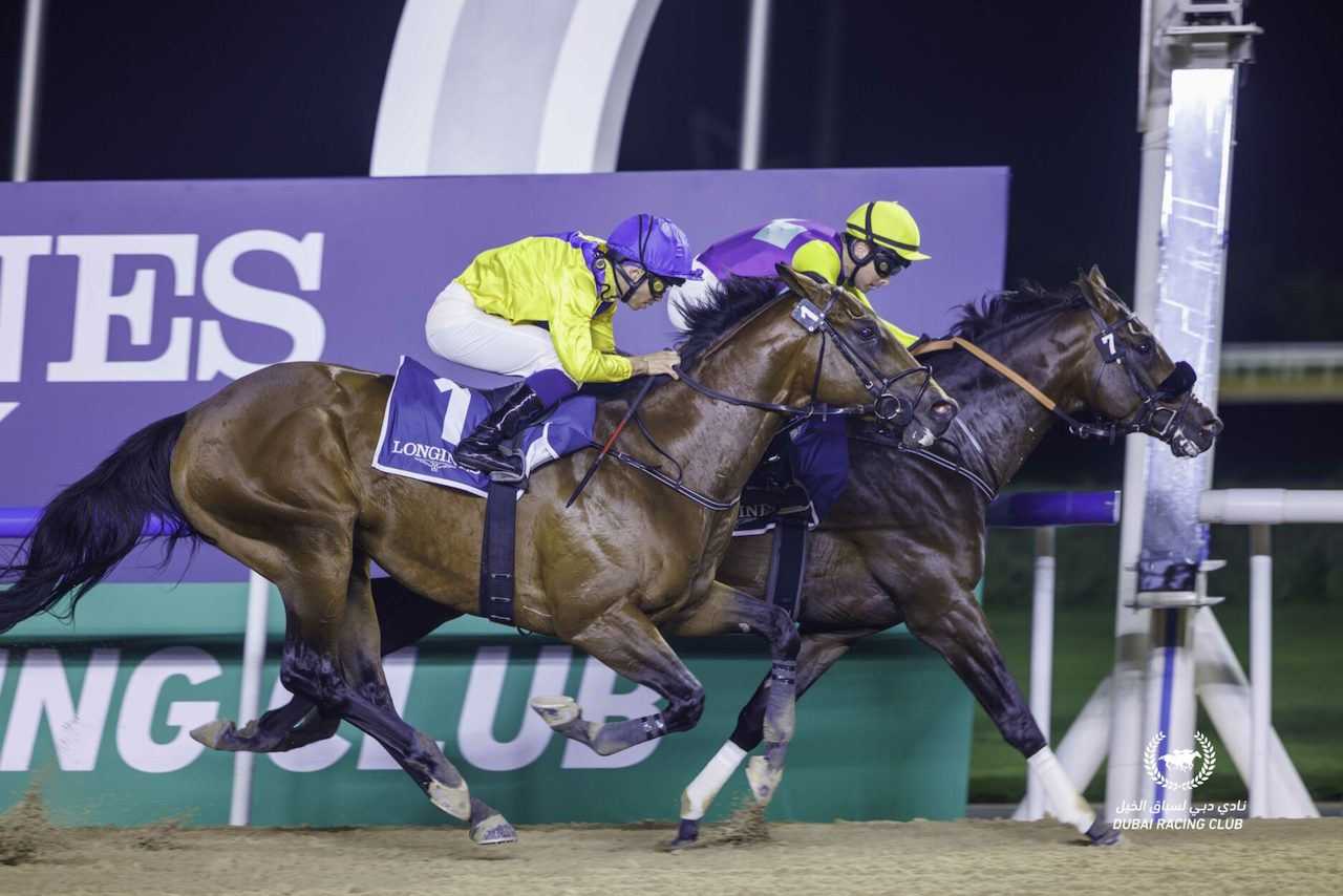 Study Guide: 2024 UAE Derby | News | Kentucky Derby