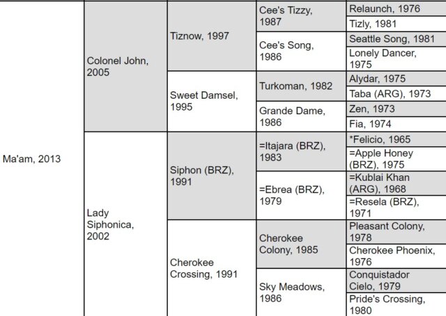 10 Pedigree fun facts: Mystik Dan | News | Kentucky Derby