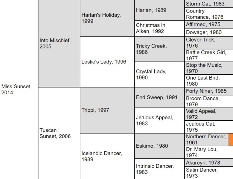 10 Pedigree fun facts: Track Phantom | News | Kentucky Derby