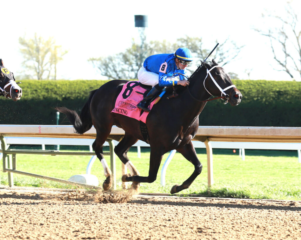 Study Guide: 2024 Kentucky Derby | News | Kentucky Derby