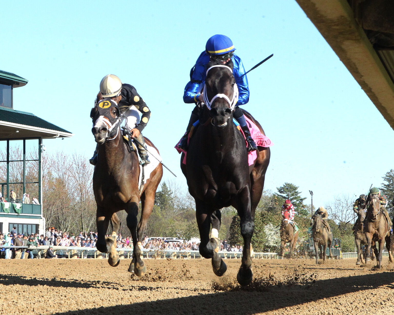 Inside the Kentucky Derby: Lexington Stakes Recap | News | Kentucky Derby