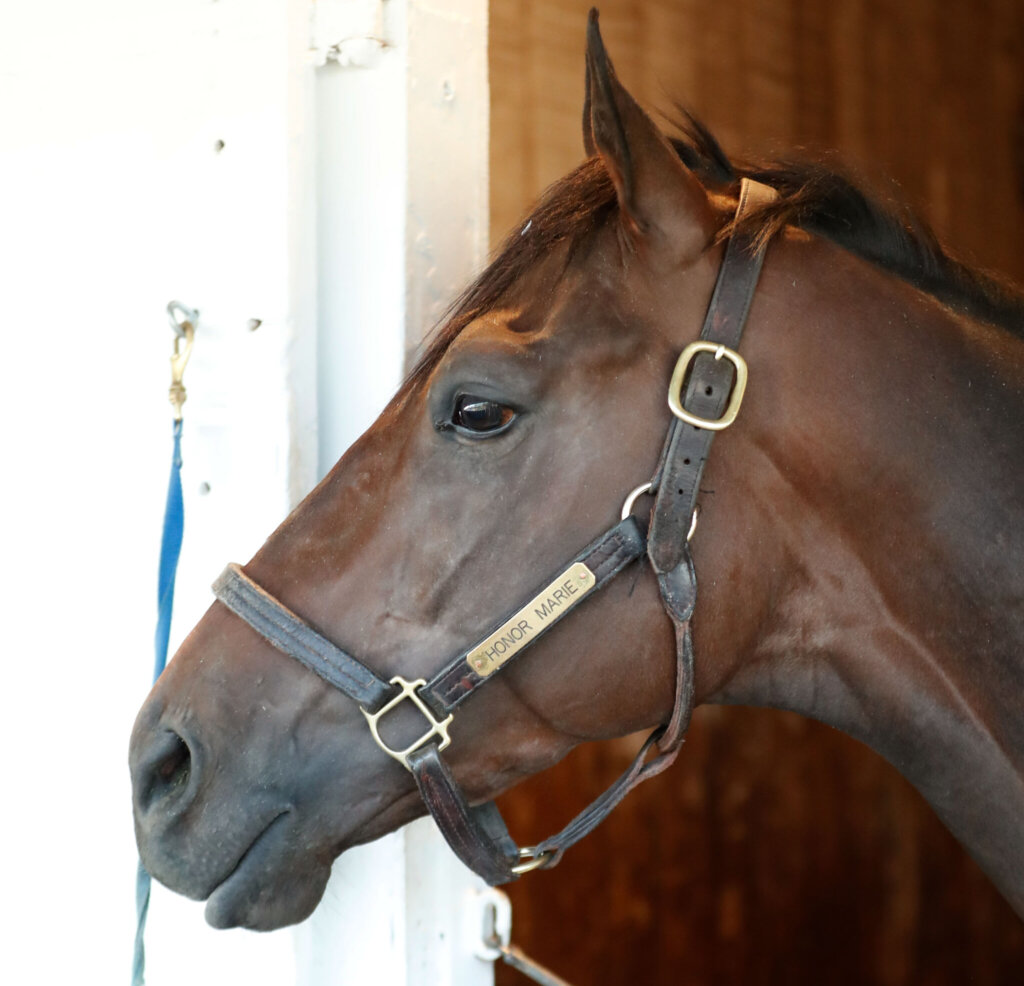 Kentucky Derby Update for Thursday, April 25, 2024: Honor Marie Heats ...