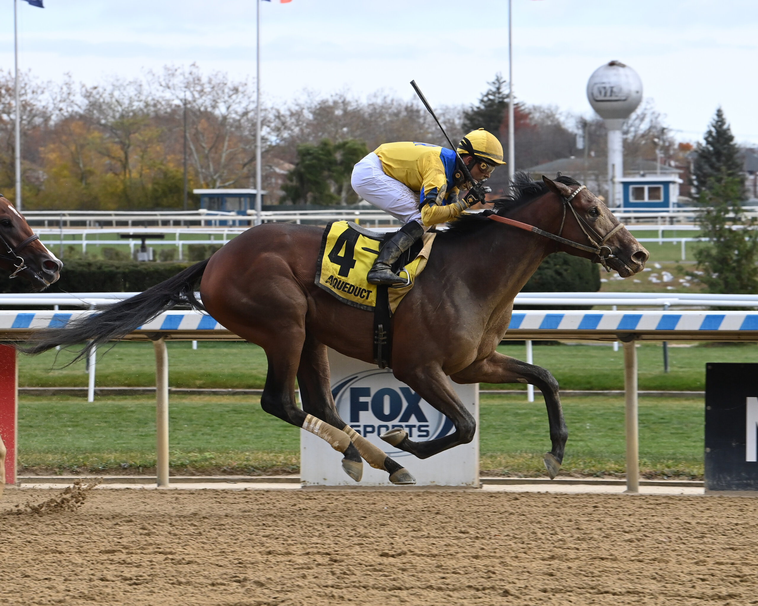 Elysian Meadows | Horses | Kentucky Derby