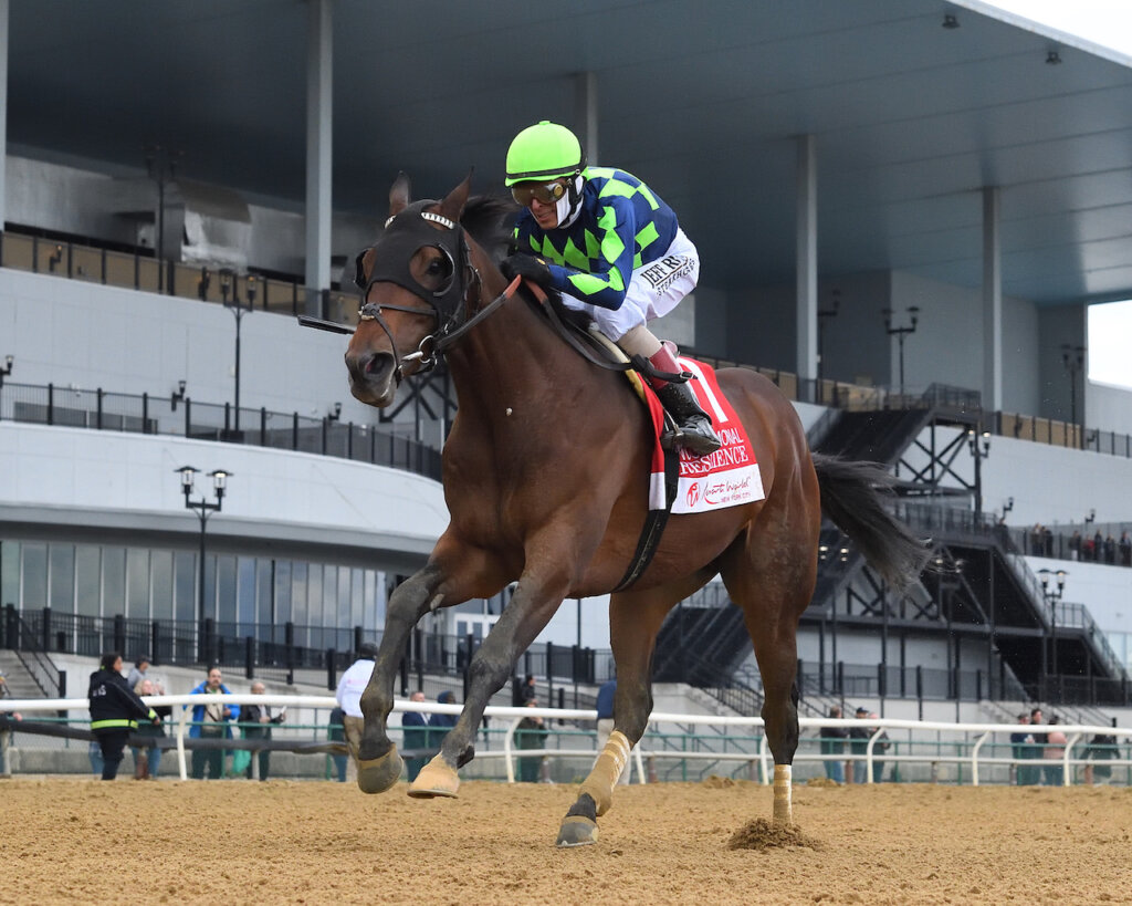 Study Guide: 2024 Kentucky Derby | News | Kentucky Derby