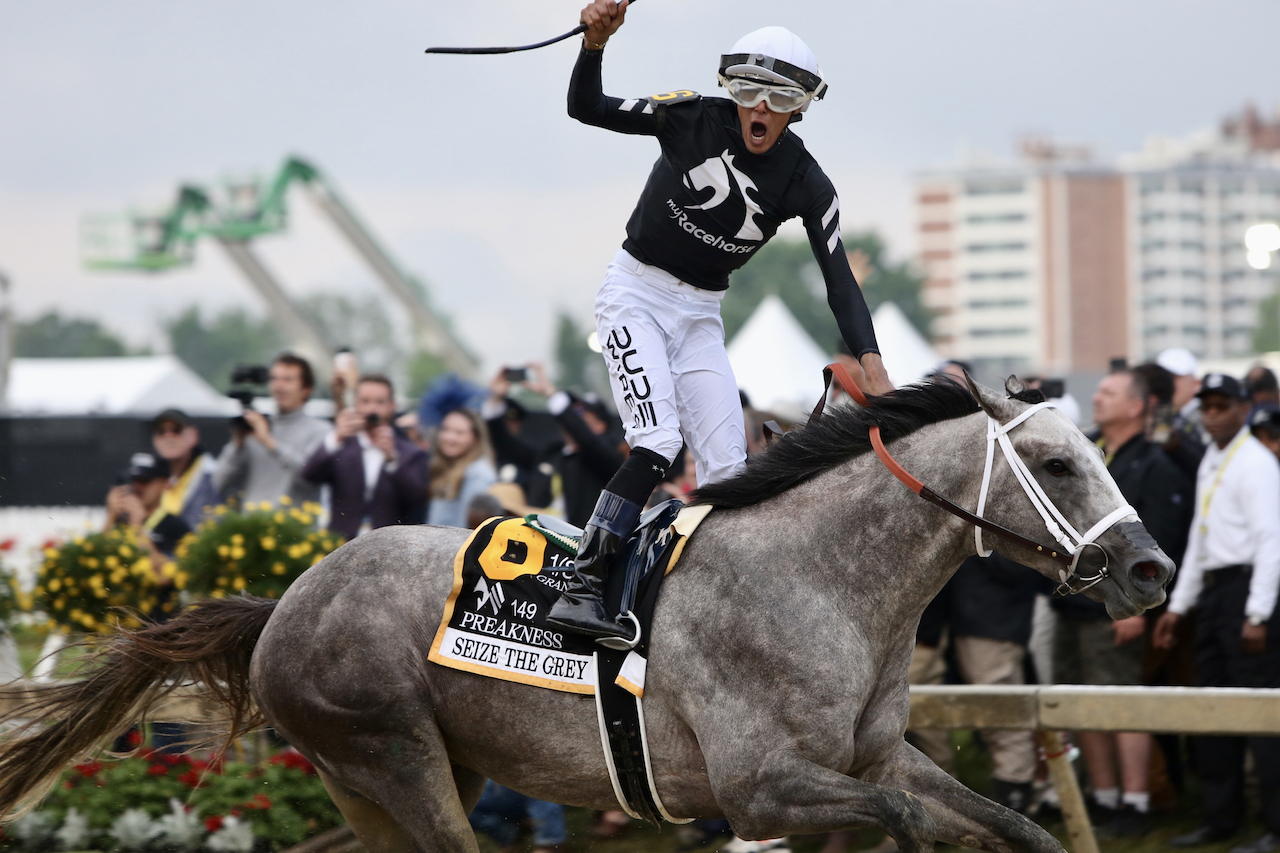 Study Guide: 2024 Jim Dandy Stakes | News | Kentucky Derby