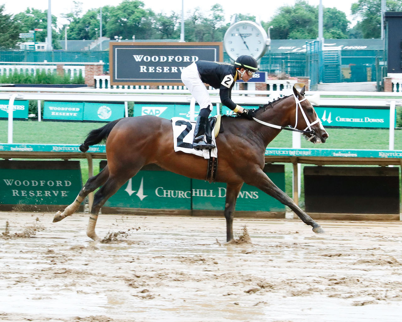 Study Guide: 2024 Monomoy Girl Stakes | News | Kentucky Derby