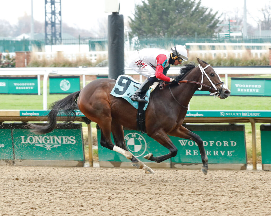 Study Guide: 2024 Monomoy Girl Stakes | News | Kentucky Derby