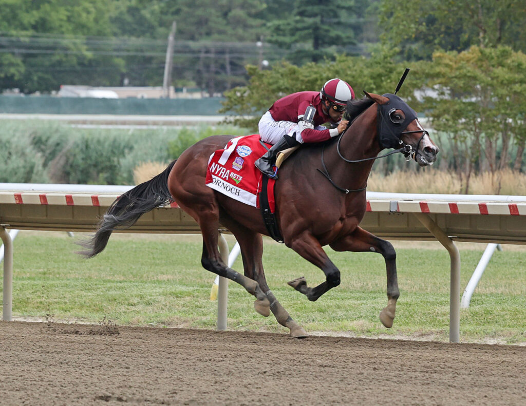 Study Guide: 2024 Travers Stakes | News | Kentucky Derby