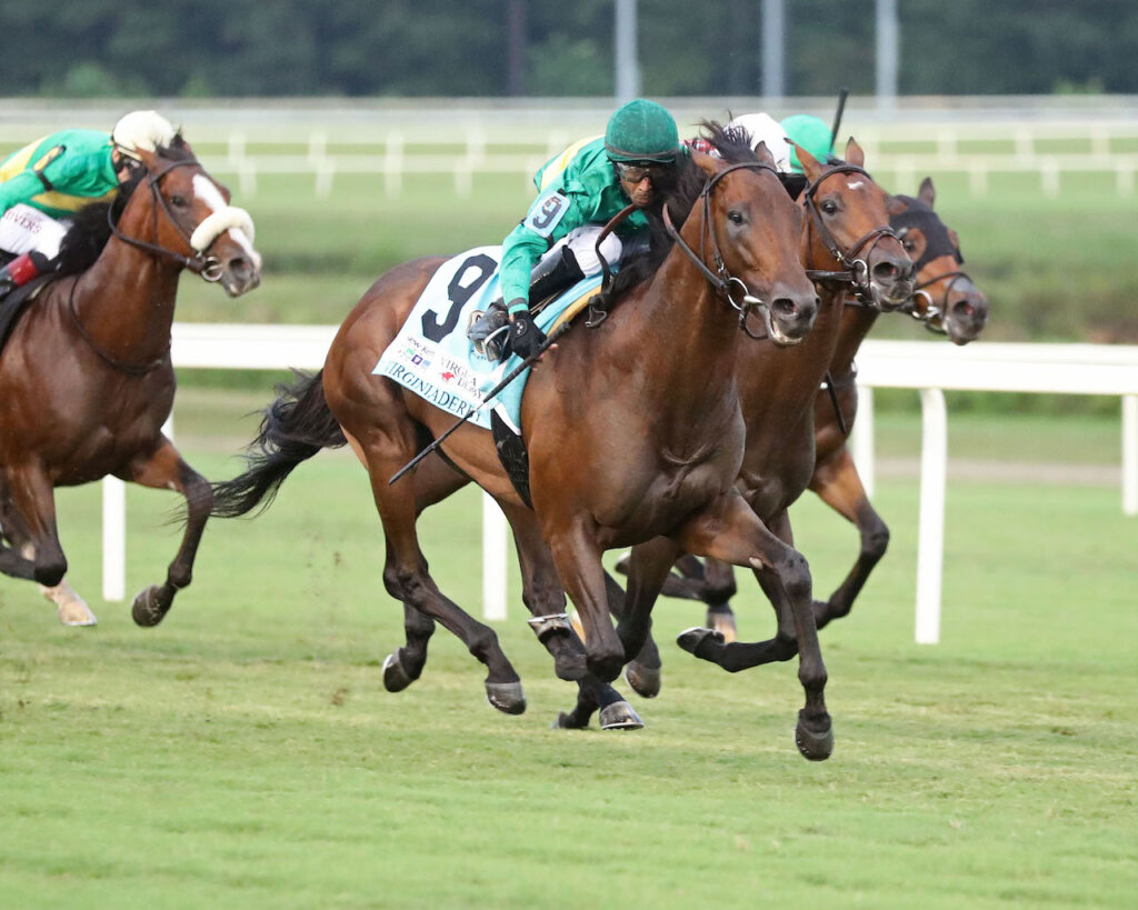 Study Guide: 2024 Million Preview Stakes | News | Kentucky Derby