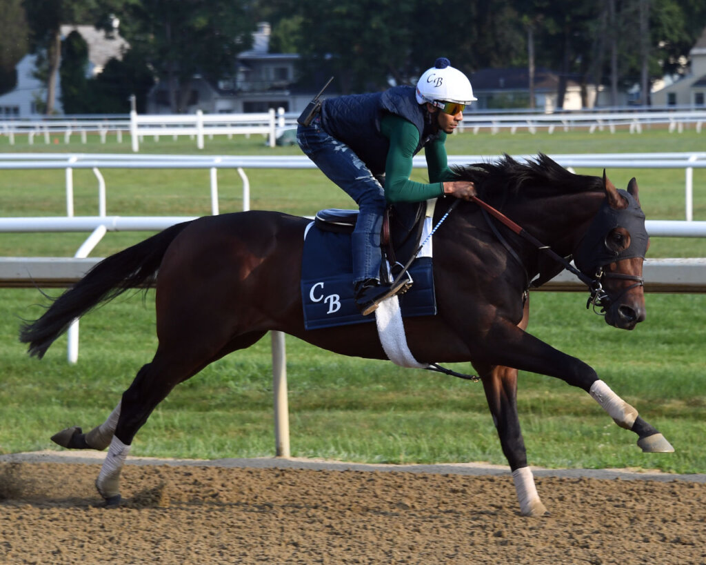 Fierceness, Sierra Leone, Seize the Grey square off in Jim Dandy | News ...