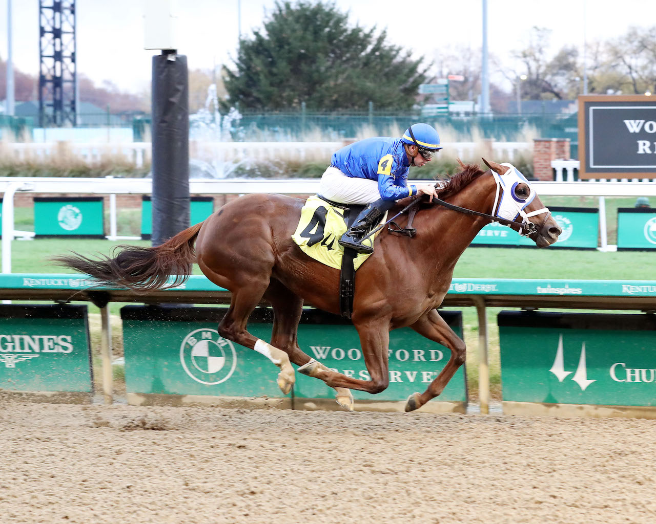 Study Guide: 2024 Jockey Club Gold Cup | News | Kentucky Derby