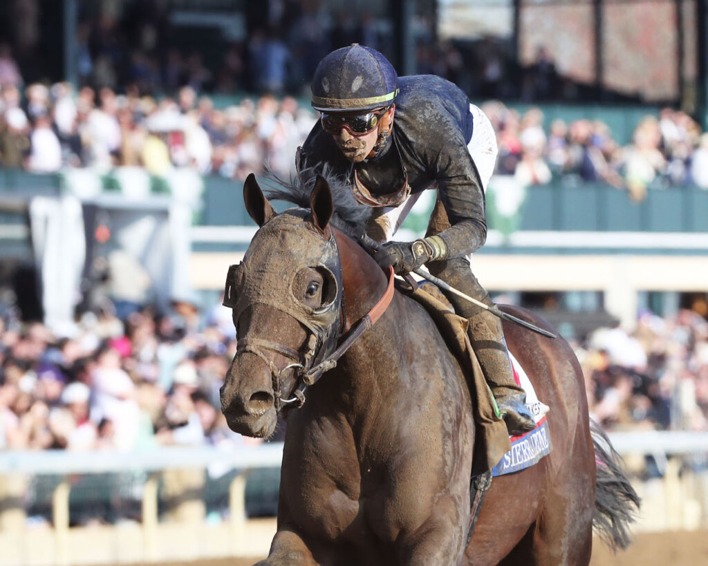 Kentucky Derby Alumni Update: Fierceness and Sierra Leone in the ...