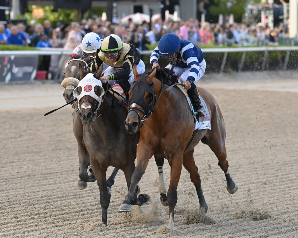 Study Guide: 2024 Whitney Stakes | News | Kentucky Derby