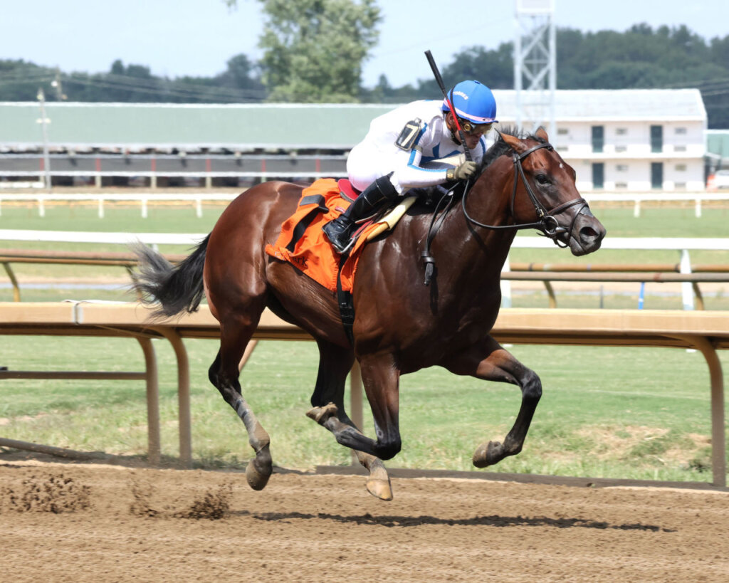 Study Guide: 2024 Iroquois Stakes | News | Kentucky Derby