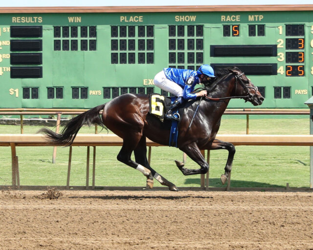 Study Guide: 2024 Breeders’ Cup Juvenile | News | Kentucky Derby