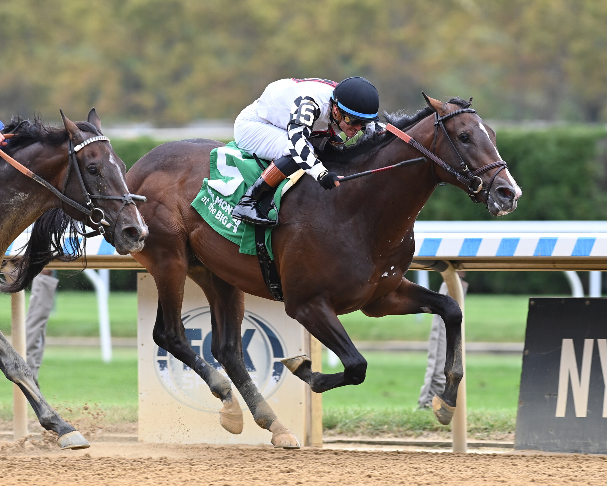 Expert Pick of the Week: 2025 Lexington Stakes | News | Kentucky Derby