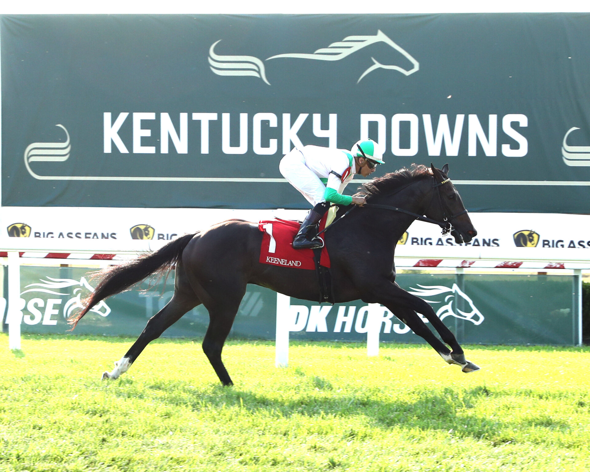 Study Guide: 2024 Kentucky Jockey Club Stakes | News | Kentucky Derby