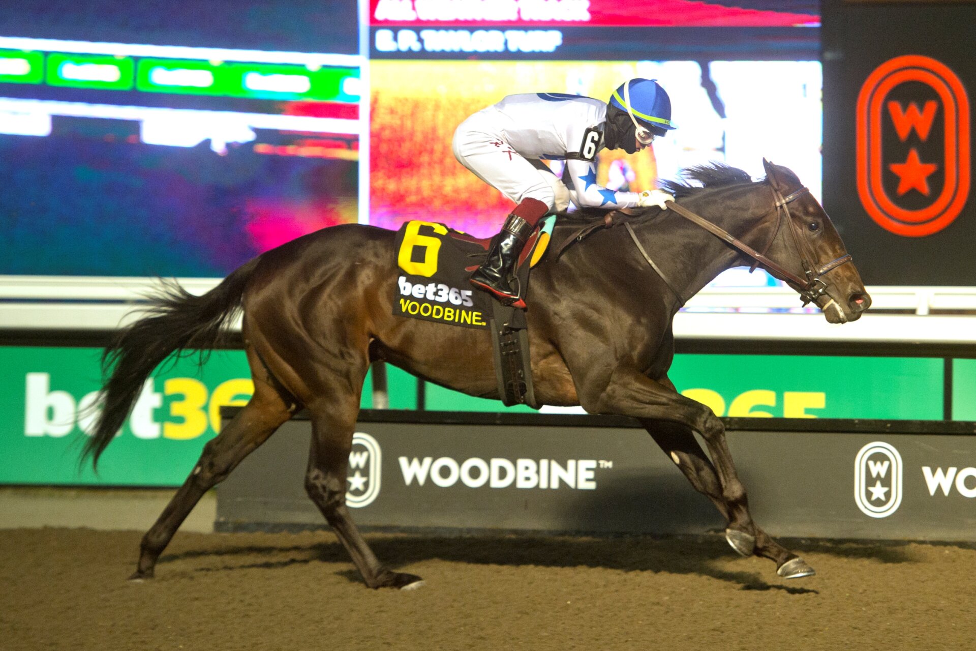 Study Guide: 2024 Kentucky Jockey Club Stakes | News | Kentucky Derby